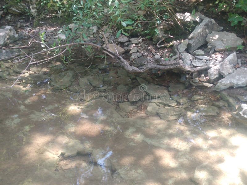 Fish trail or fishtail stock image. Image of water, river - 228134385