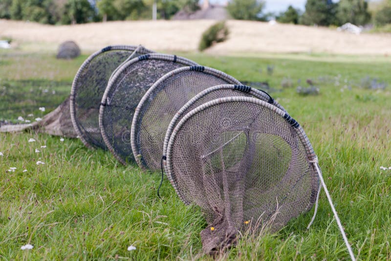 Fish trap made of reed stock photo. Image of gear, fish - 111199664