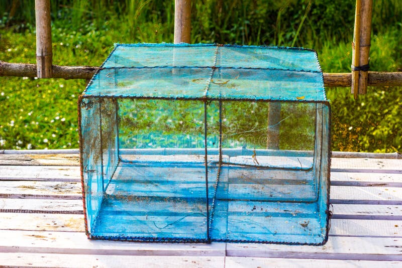 Fish trap cages stock image. Image of blue, empty, fish - 63539635