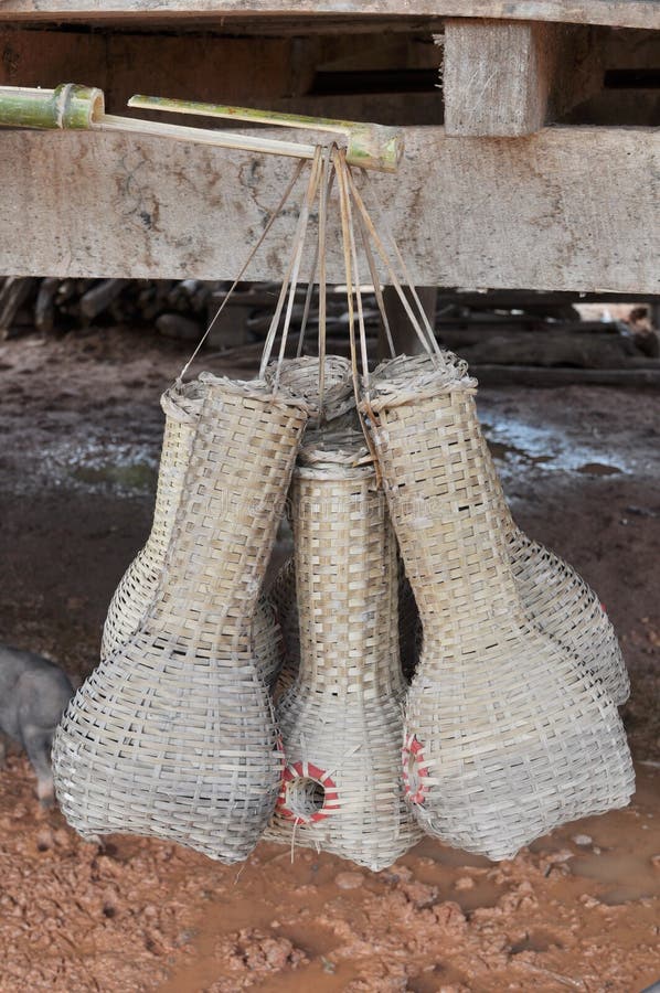 Fish trap. stock image. Image of head, market, fish, myanmar - 30609537