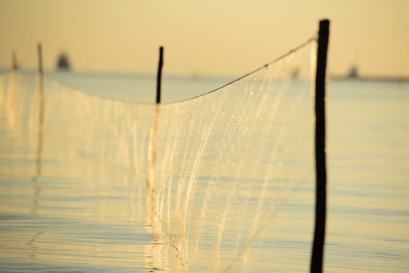 The fish trap stock image. Image of male, nature, catch - 91060059