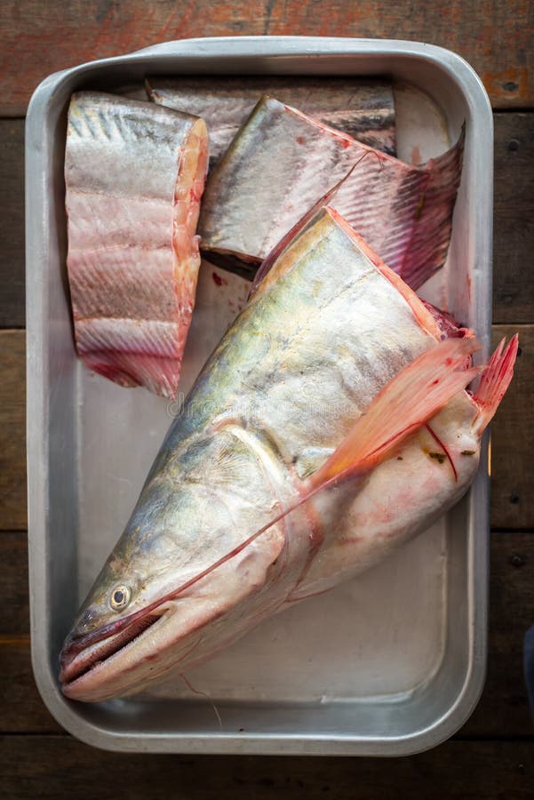 Fish in tray stock image. Image of container, small, crate - 56406067