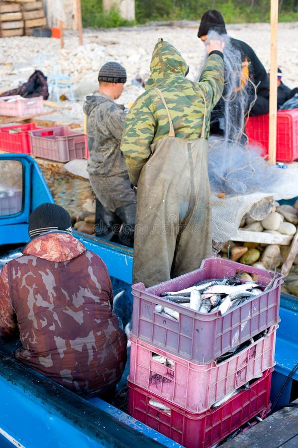 Fish unloading editorial photo. Image of three, caucasian - 18453596