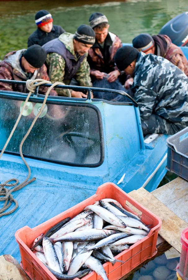 Fish unloading editorial photography. Image of baikal - 18453637