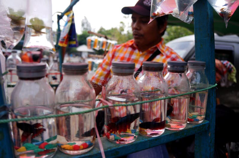 Fish editorial stock photo. Image of drink, central, market - 62013628