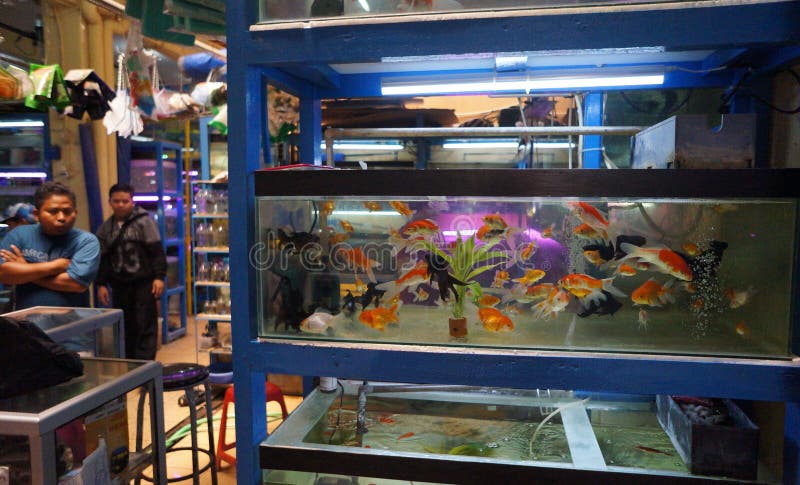 Fish editorial image. Image of types, city, central, market - 62334950