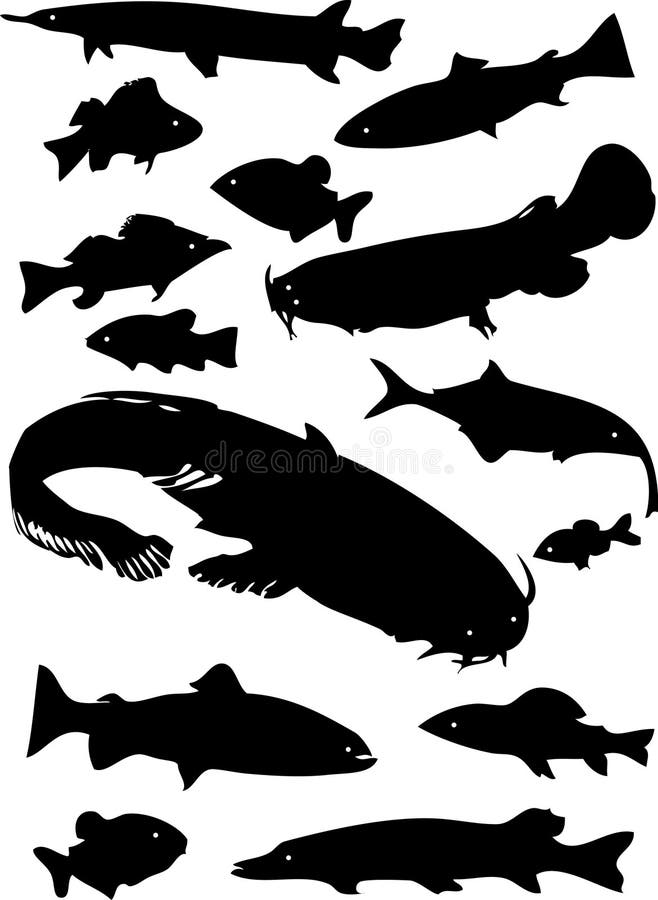 Tropical fish vector stock vector. Illustration of cartoon - 2231412