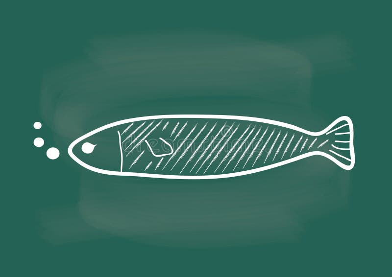 Fish, Vector of Fish Drawing on Blackboard Chalk Stock Vector ...