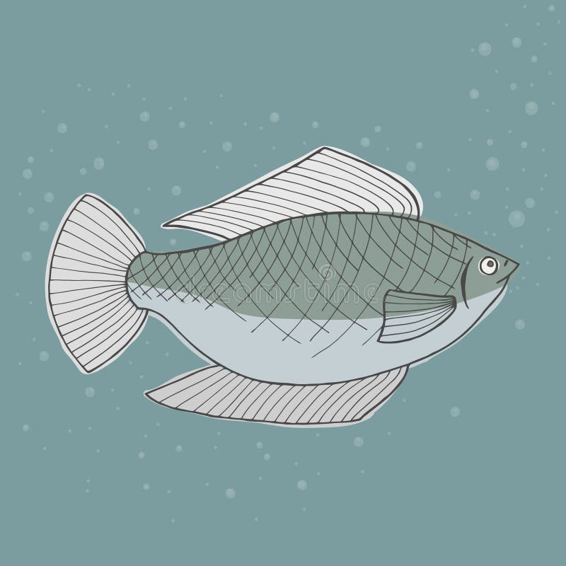 Fish Vector. the Gray Fish in the Sea. Stock Vector - Illustration of ...