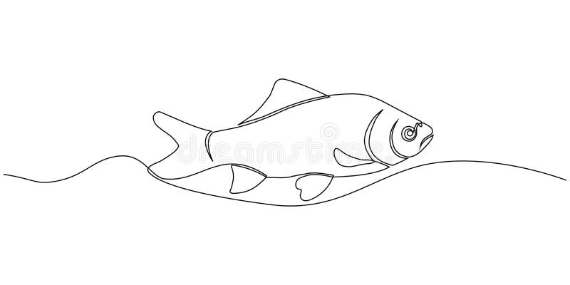 Minimal Line Drawing Fish Stock Illustrations – 916 Minimal Line ...
