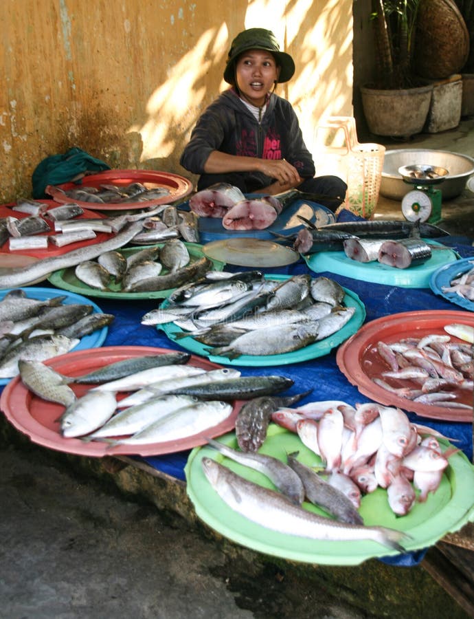 Fish vendor in vietnam editorial photography. Image of woman - 40543947