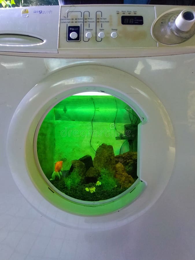 Fish Washing Machine Theme Aquarium Stock Photo - Image of iron, theme ...