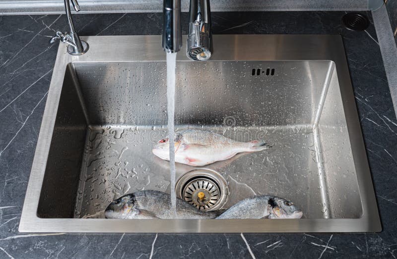 Fish Washing Under Running Water Stock Photo - Image of kitchen, meat ...