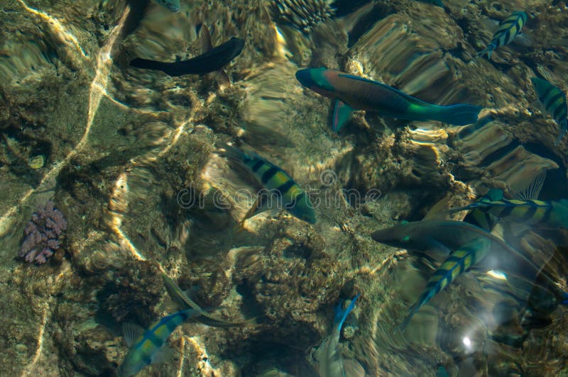 Rushing Water stock photo. Image of drop, cloud, rock - 11102920