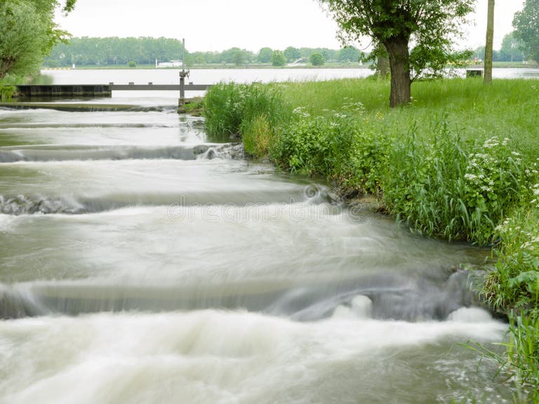 Fish way stock photo. Image of swim, river, food, power - 24745080