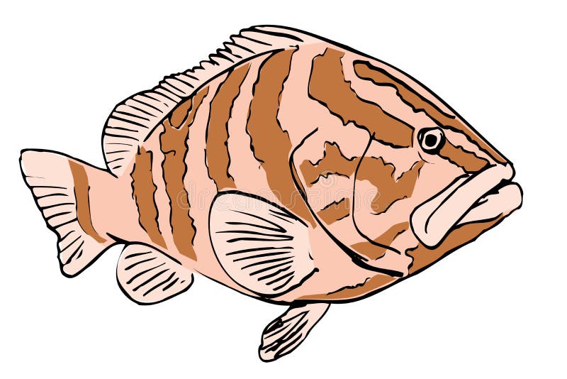 Fish stock illustration. Illustration of aquatic, animal - 77460823