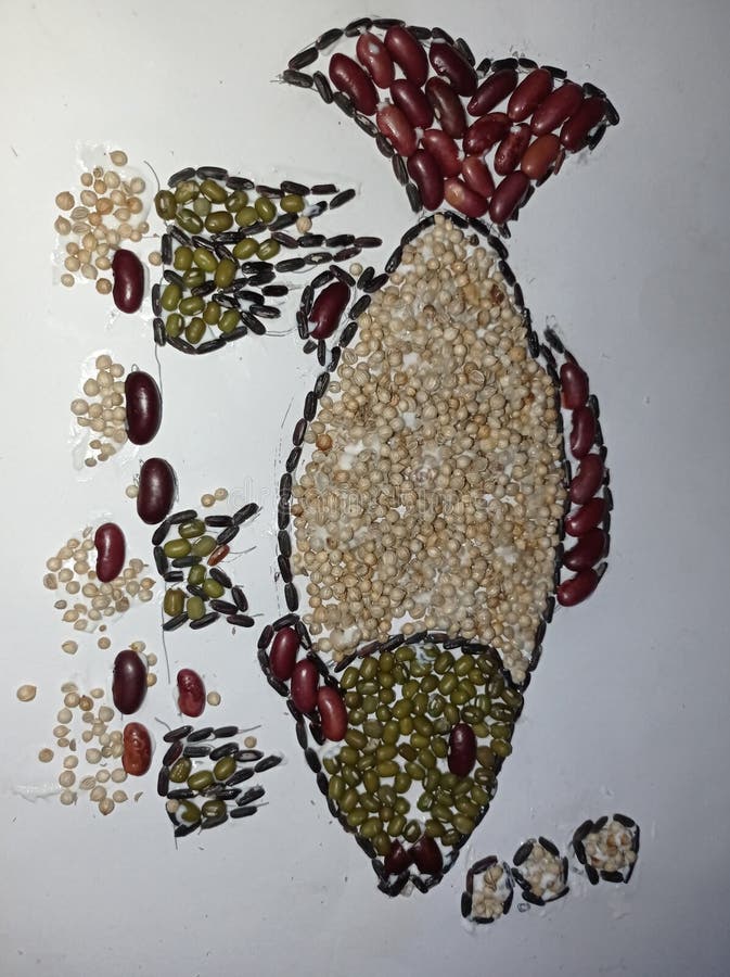 Fish from a Wide Variety of Seeds Funny Stock Photo - Image of funn ...