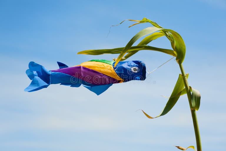 Fish in the wind stock photo. Image of blowing, wind - 17642664