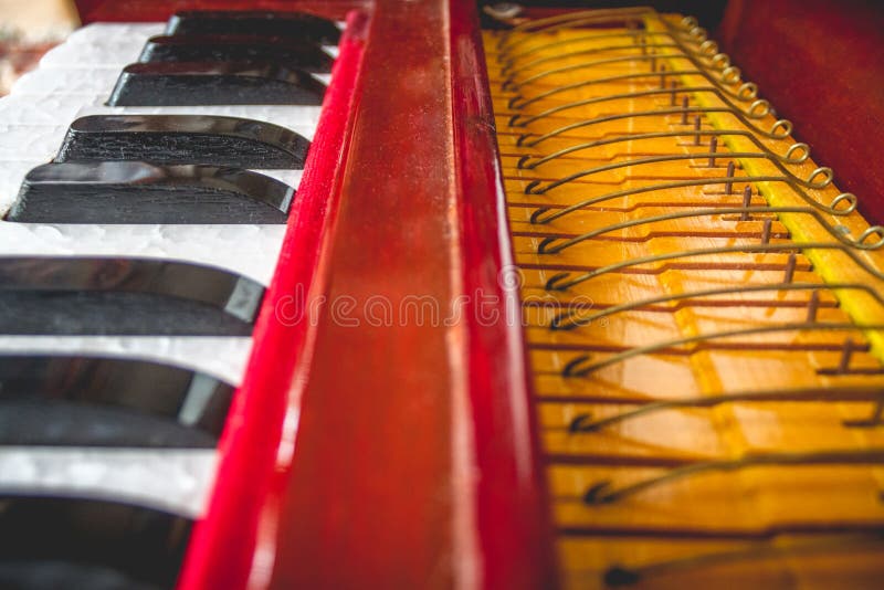 Fisharmonia Odizolowywająca Na Białym Tle Obraz Stock - Obraz złożonej ...