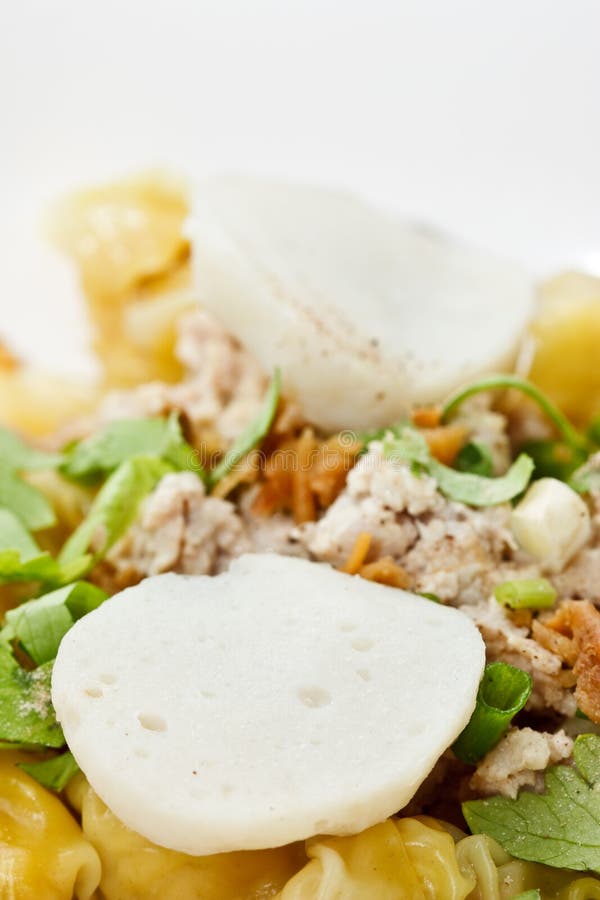 Fishball noodle stock image. Image of noodle, spice, delicious - 17022299