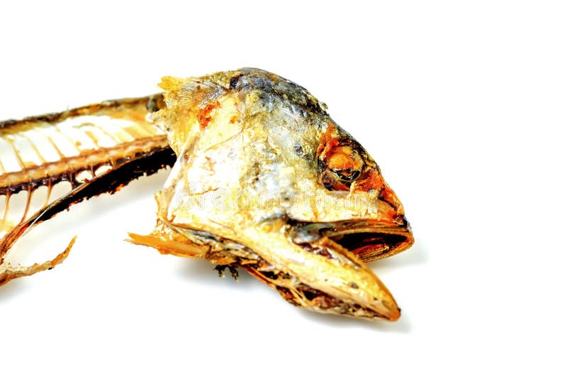 Fishbone stock image. Image of mackerel, dinner, macro - 73408835