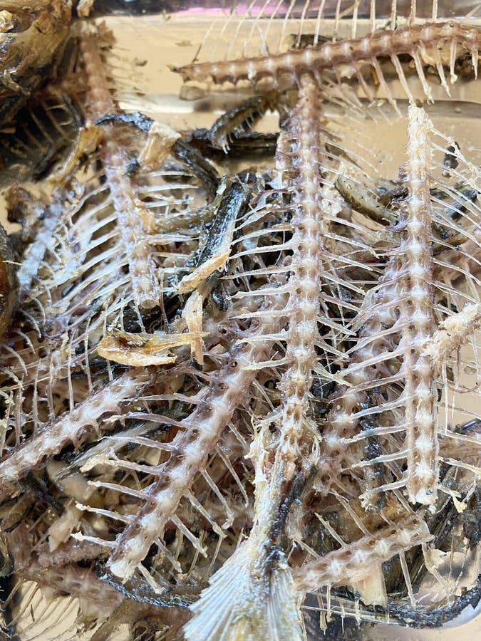 Fishbone on iron dish stock image. Image of food, prepared - 239819837