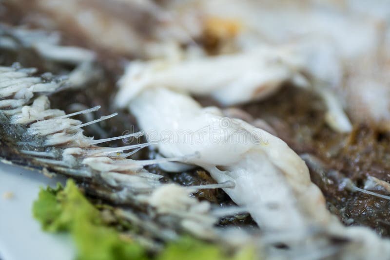 Fishbones on plate stock photo. Image of tasty, remains - 2599568