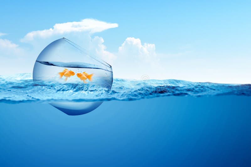 Fishbowl with Goldfish Floating on the Ocean Stock Image - Image of ... Fishbowl with Goldfish Floating on the Ocean Stock Image - Image of ...
