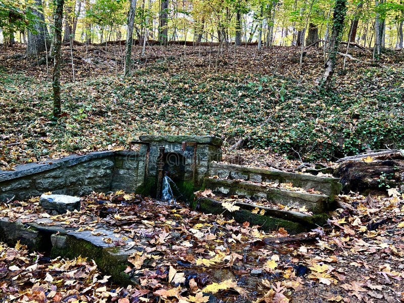 Fishburn Park Virginia stock photo. Image of sunlight - 296440320