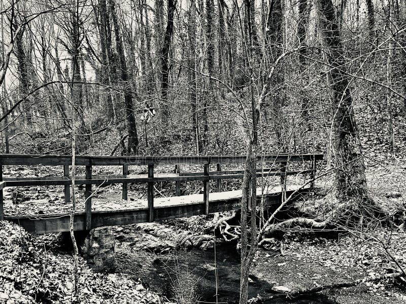 Fishburn Park, Virginia stock photo. Image of plant - 351931876