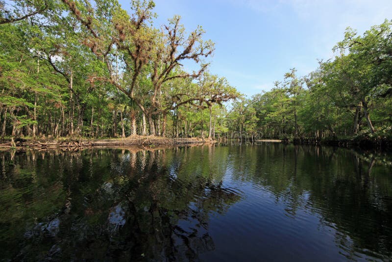 Fisheating Creek, Florida on Bright Spring Morning. Stock Image - Image ...