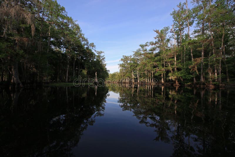 Fisheating Creek, Florida on Bright Spring Morning. Stock Photo - Image ...