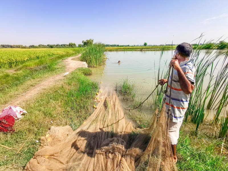 Fisher Man is Catching Fish by His Net Stock Image - Image of fisher ...