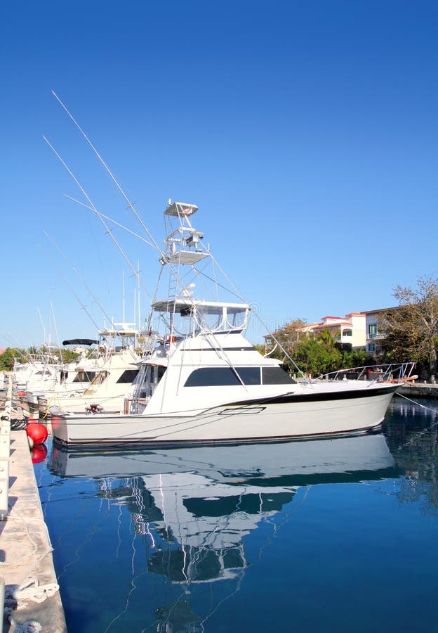 Flybridge Fisher Boat High Fly Bridge Tuna Tower Stock Photo - Image of ...