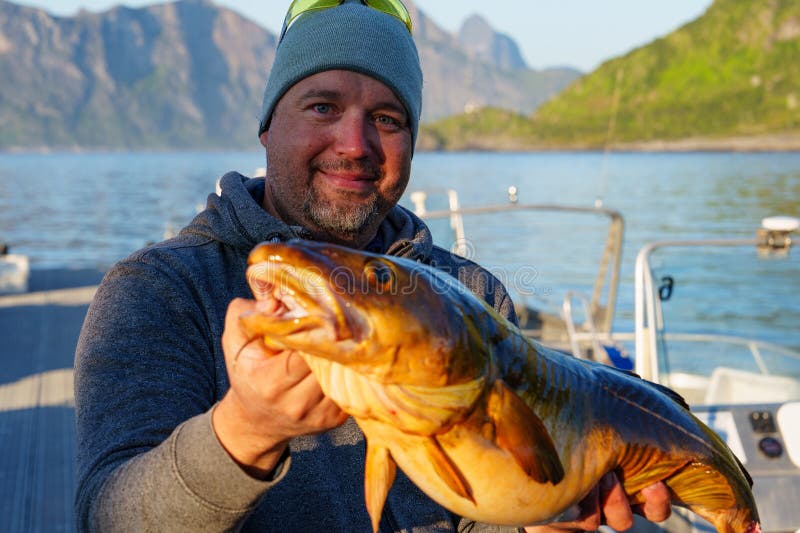 Fisherman with Big Cod Fish. Norwegian Fisherman Has Caught Large Cod ...