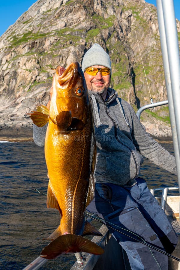 Fisherman with Big Cod Fish. Norwegian Fisherman Has Caught Large Cod ...