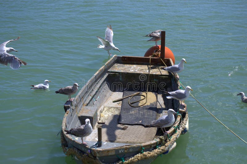 Fisherman boat birds stock photo. Image of port, serenity - 77019978