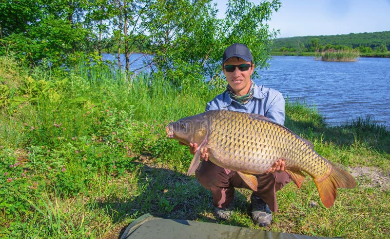 Fisherman with Carp Fishing Trophy Stock Image - Image of carp, release ...