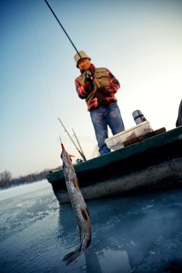 Fisherman Catch Pike on the River Stock Photo - Image of lifestyle ...