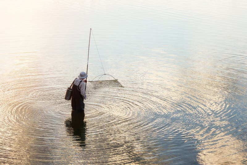 A Fisherman Catches Fish Using a Fishnet on Tranquil Lake Stock Image ...
