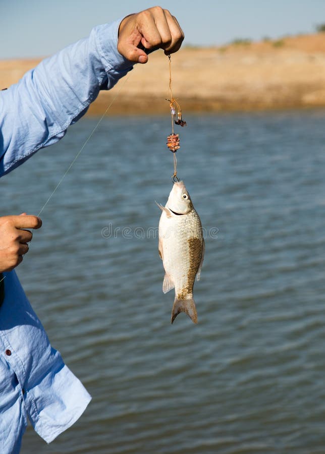 The Fisherman Caught the Fish on a Fishing Pole Stock Image - Image of ...