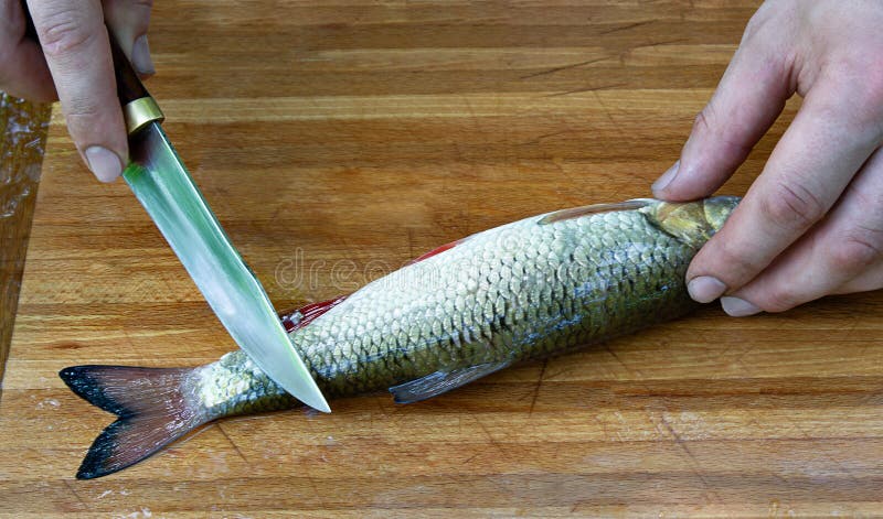 Fisherman Cleaning Fish on Wooden Board Outdoors Stock Photo - Image of ...