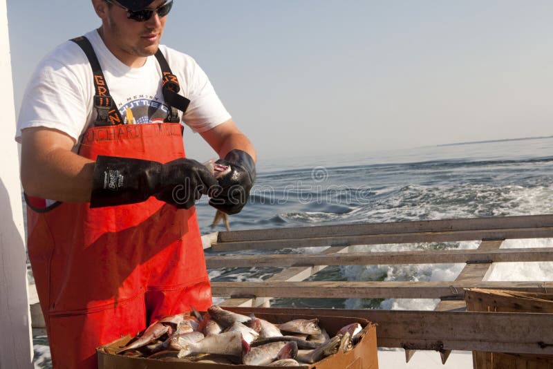 A Fisherman Cutting Up Fish Editorial Photo - Image of fish, pots: 42971181