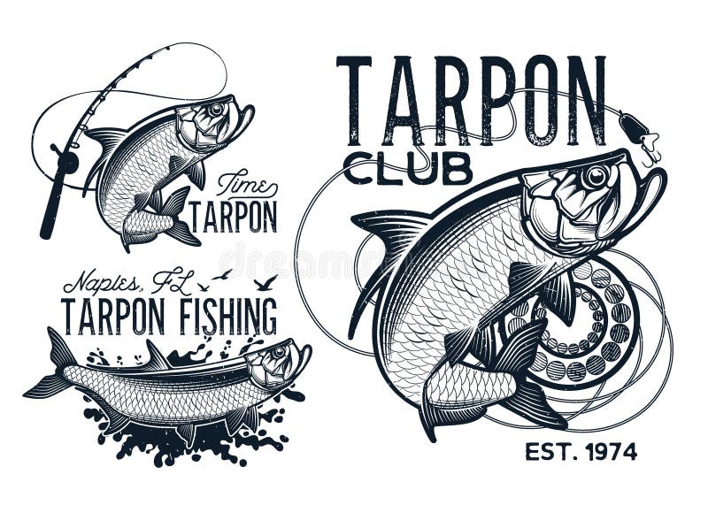 Tarpon Stock Illustrations – 320 Tarpon Stock Illustrations, Vectors ...