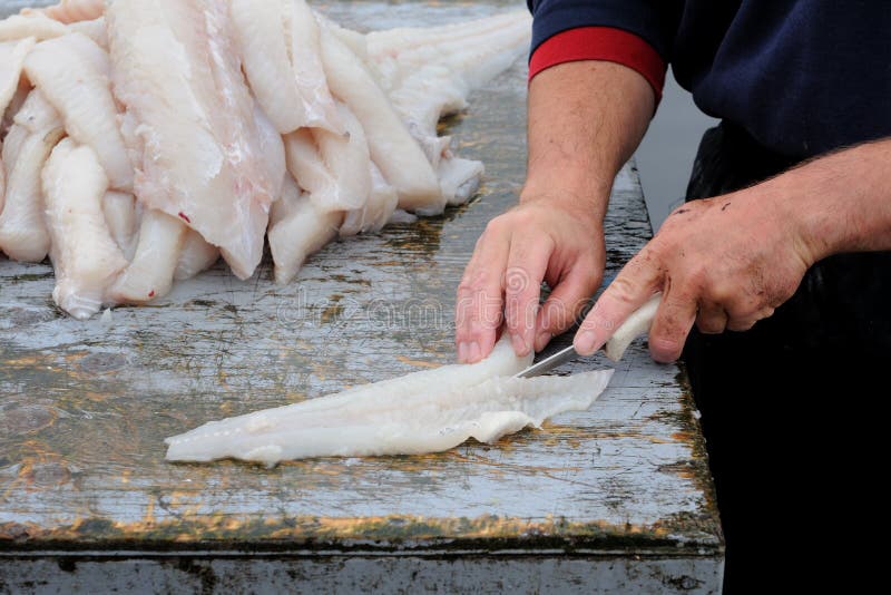 Fisherman filleting cod stock image. Image of outdoors - 16095721
