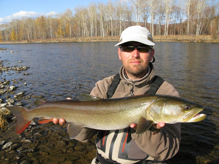 433 Taimen Fish Stock Photos - Free & Royalty-Free Stock Photos from ...