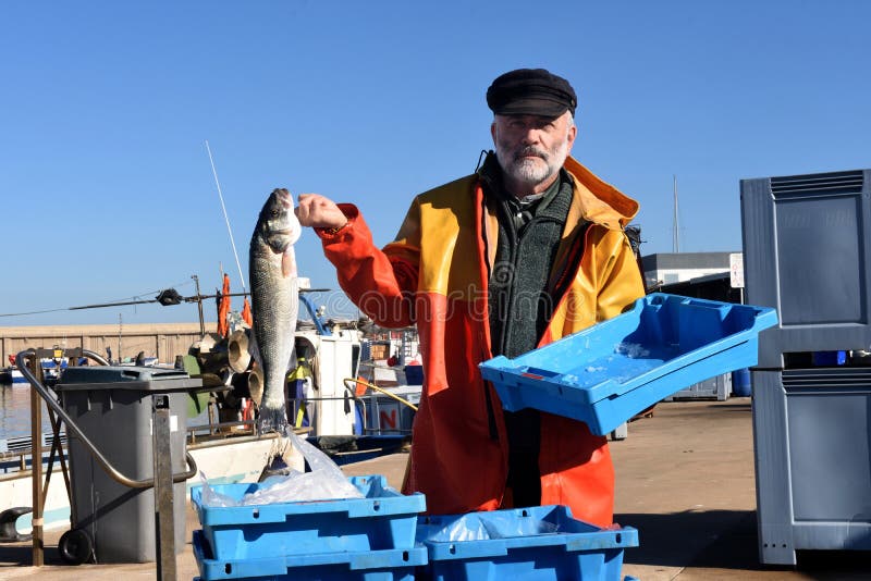 A Fisherman with a Fish Box Inside a Fishing Boat Stock Image - Image ...