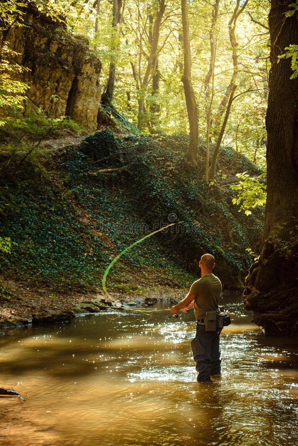 A Fisherman Fishing with Fly Fishing Stock Photo - Image of creek ...