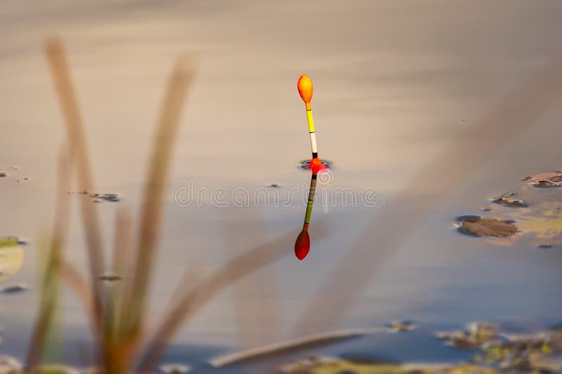 Fisherman Float on the Surface of the Water Stock Image - Image of ...