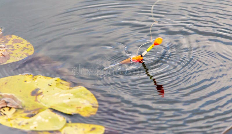 Fisherman Float on the Surface of the Water Stock Photo - Image of ...